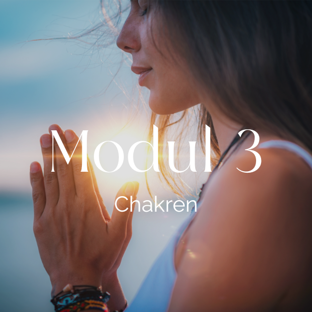 Modul 3 – Soul Evolution - Vanessa Spaleck • Medium • Spiritual Coach • Teacher